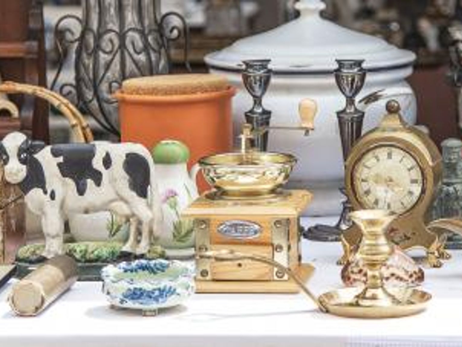 Museum needs help saving Dress Fleas