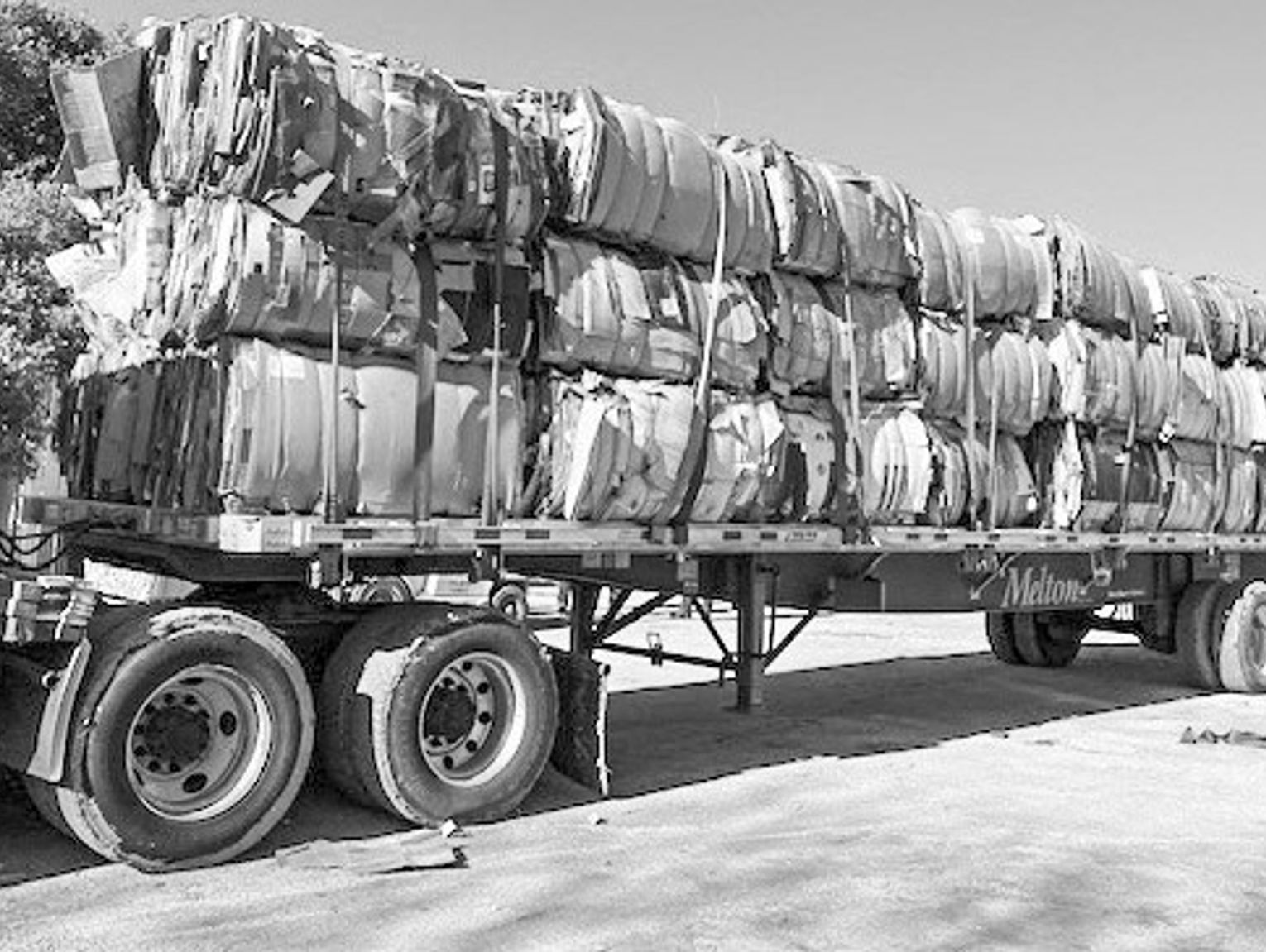 Trash Talk: Talking Plastics