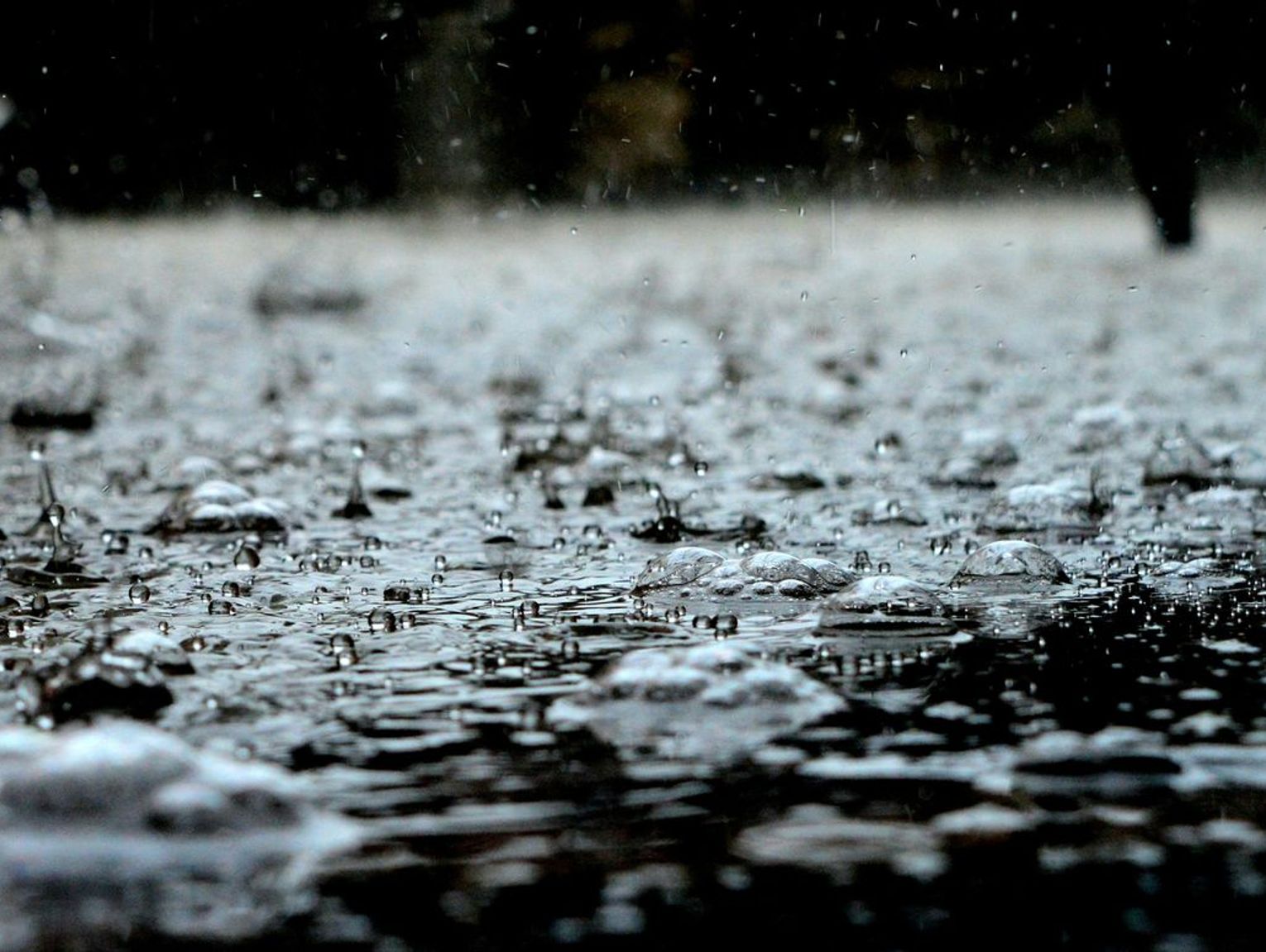 Vehicle swept away in floodwaters, search underway